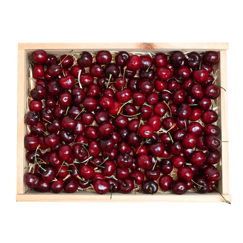 Cherry - Snowgoose