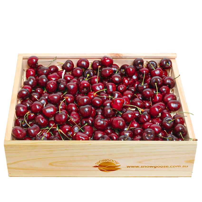 Cherry - Snowgoose